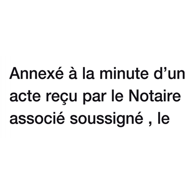 Tampon "Annexé à la minute" E15 Notaire Notaire Associé - RomefortPrint